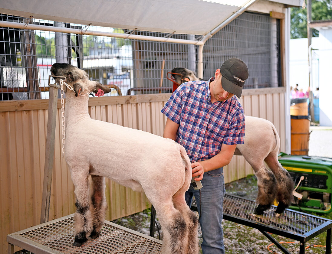 Just a trim | News, Sports, Jobs - The Sentinel